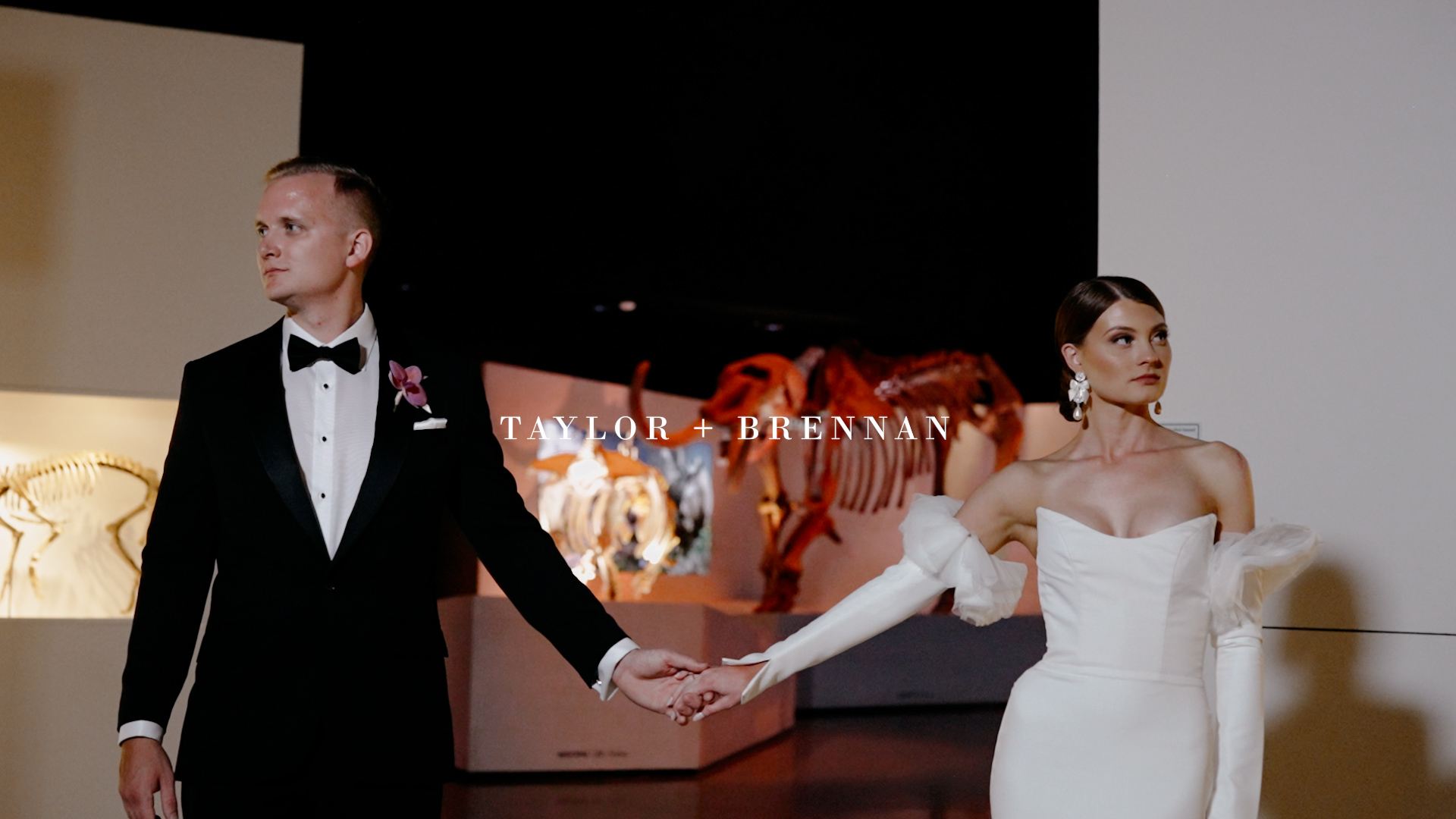 Houston Museum of Natural Science | Venue - Love Stories TV