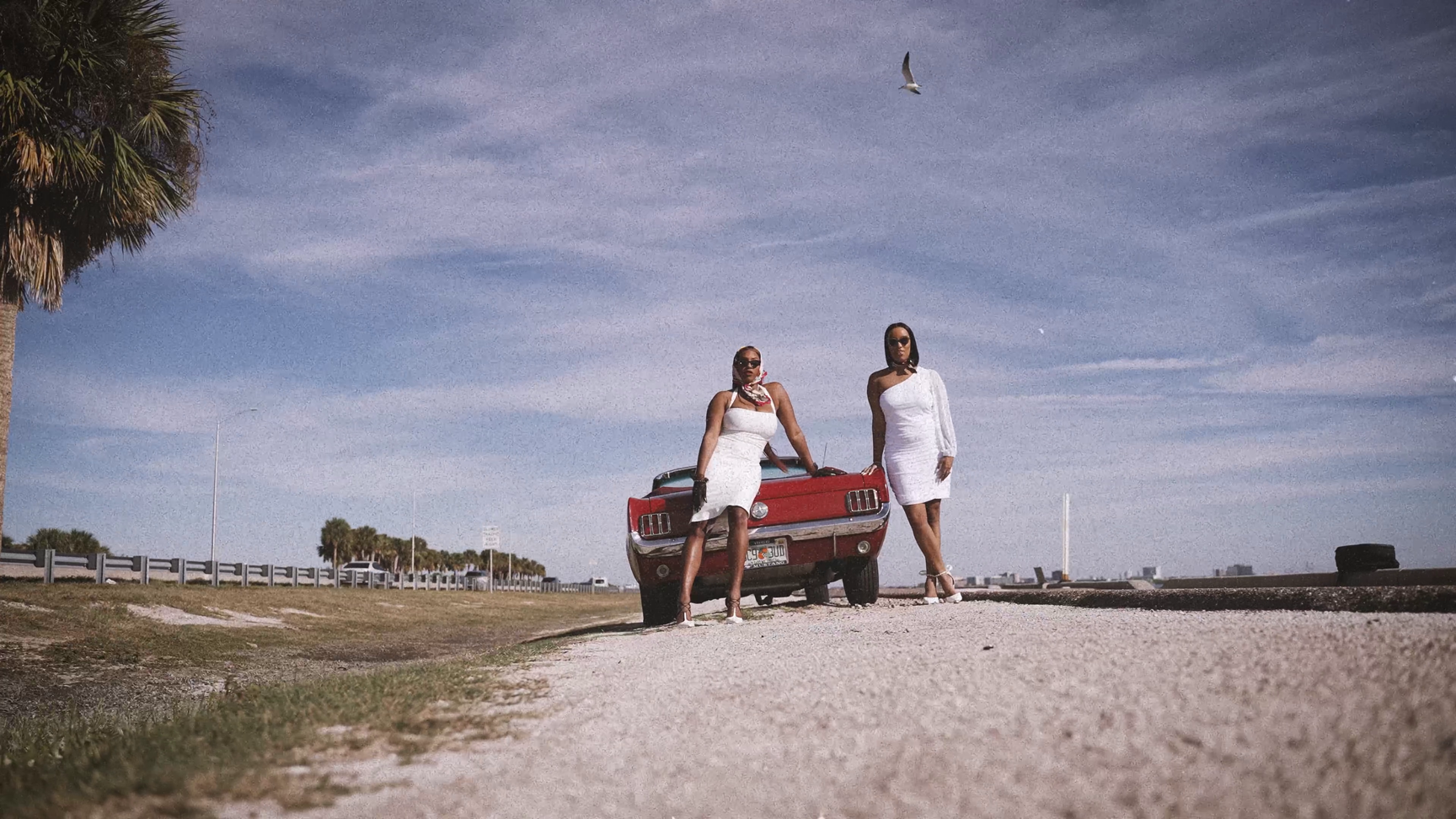 Danelle + Alyse | Tampa, FL